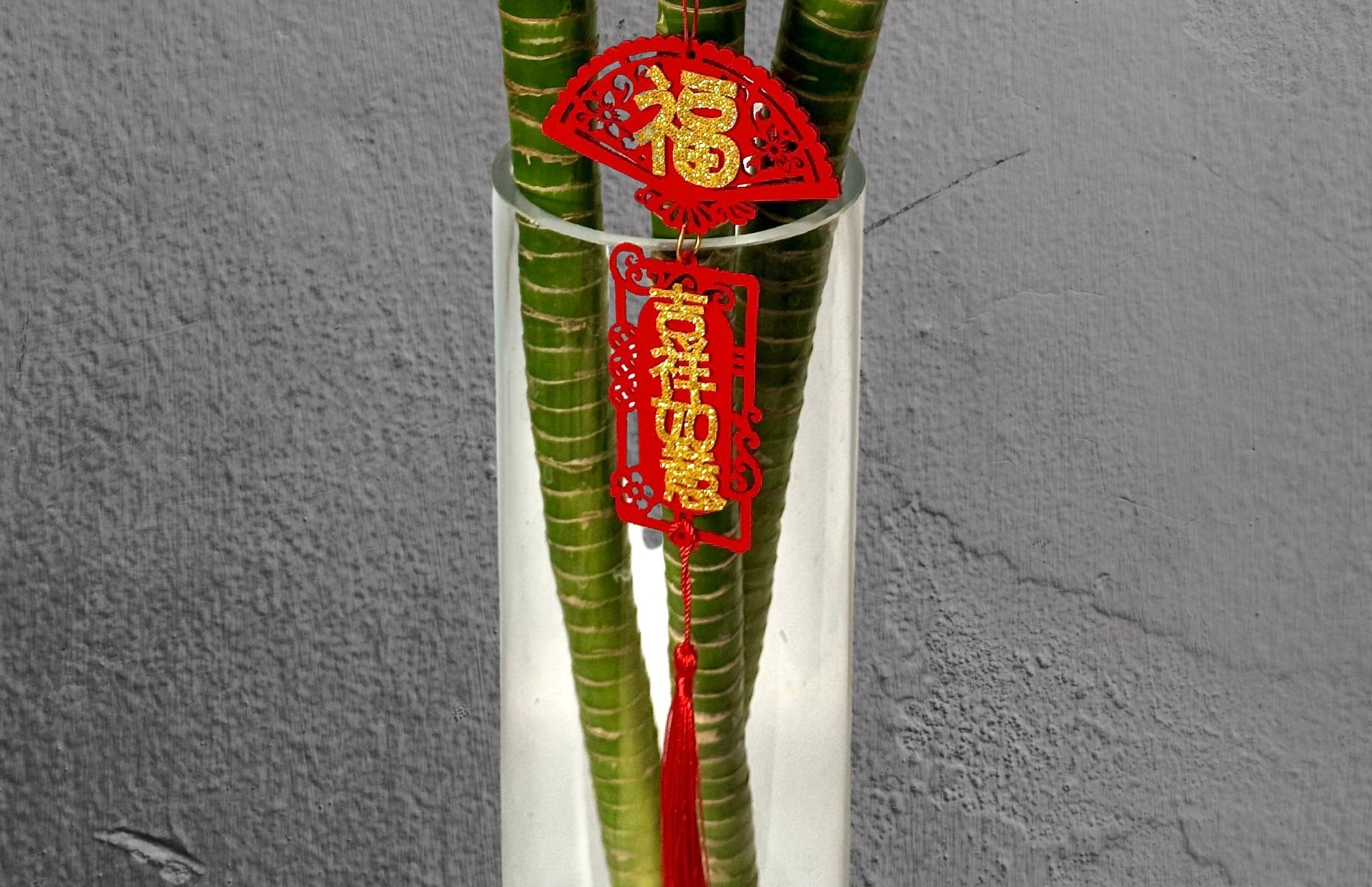 Chinese Lunar New Year - Oopsy Daisy Flowers